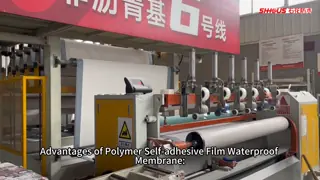 hdpe self adhesive waterproof membrane skin type for trench floor waterproofing
