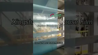modern agriculture pe greenhouse film anti drip uv resistant polyethylene film