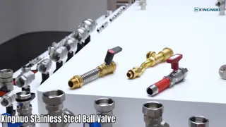 stainless steel main body brass one way check valve single handle suitable for various industrial