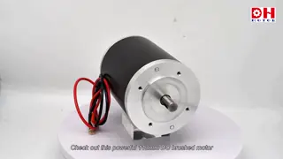 113zy 113mm brushed dc motor for industrial automation