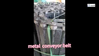 304 stainless steel wire mesh conveyor belt for fry drying silver color