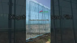 agricultural polyolefin po film 5 layer co extrusion greenhouse cover sheet