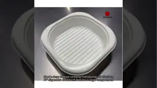 pp large20 *20 cm disposable food packaging square single compartment takeout box, low moq