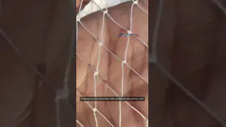 uv resistant fine insect netting 50 mesh insect net hdpe material