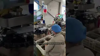 multi station design rotary poultry vaccination machine automatic 3800-4500pcs/hour